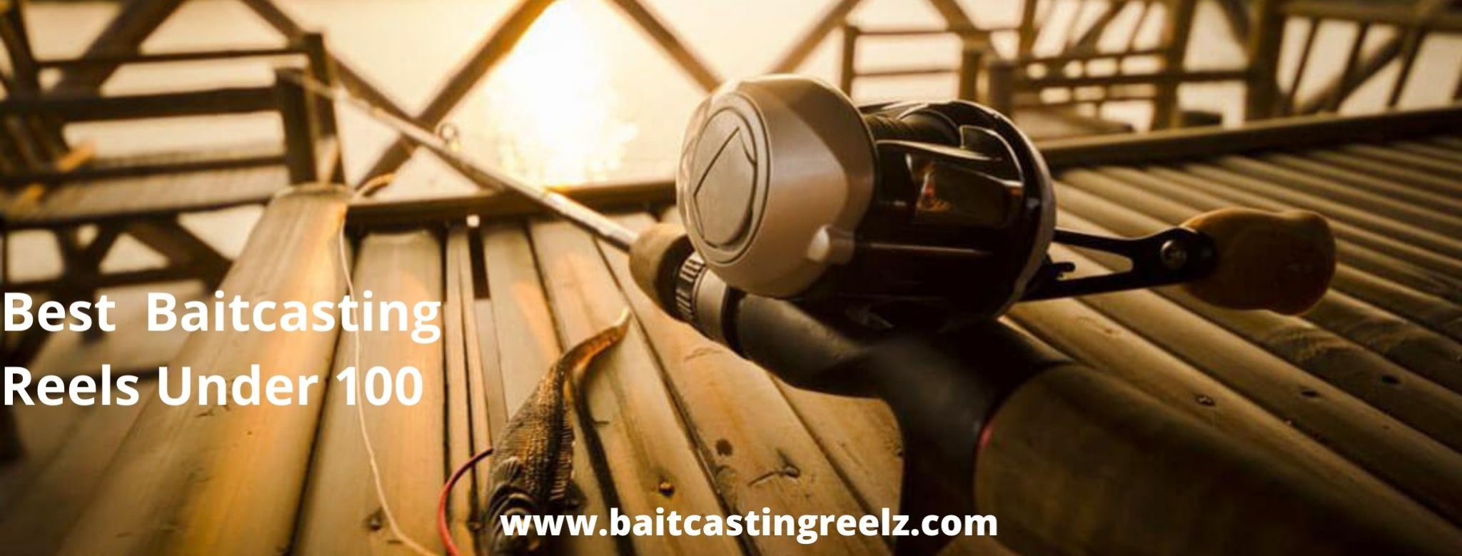Best Baitcasters Under 100 dollars (2025 Reviews)