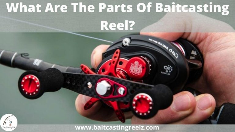 Parts Of Baitcasting Reels (Explained For Beginners)