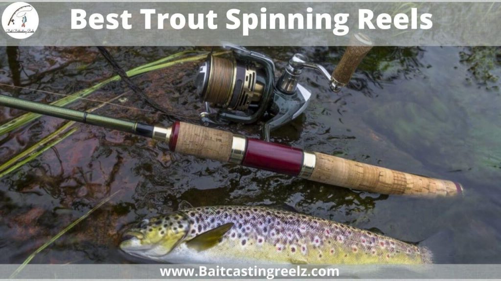 10 Best Trout Spinning Reel 2023 - (Best Budget Option For Beginners)